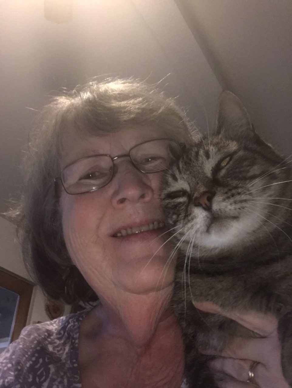 CLEO THE CAT HERE TO INSPIRE YOU! | Drawn by Inspiration